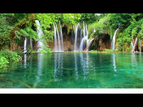 TERAPİ MÜZİĞİ, EN İYİ DİNLENDİRİCİ MÜZİK, MEDİTASYON MÜZİĞİ, ZEN TERAPİ