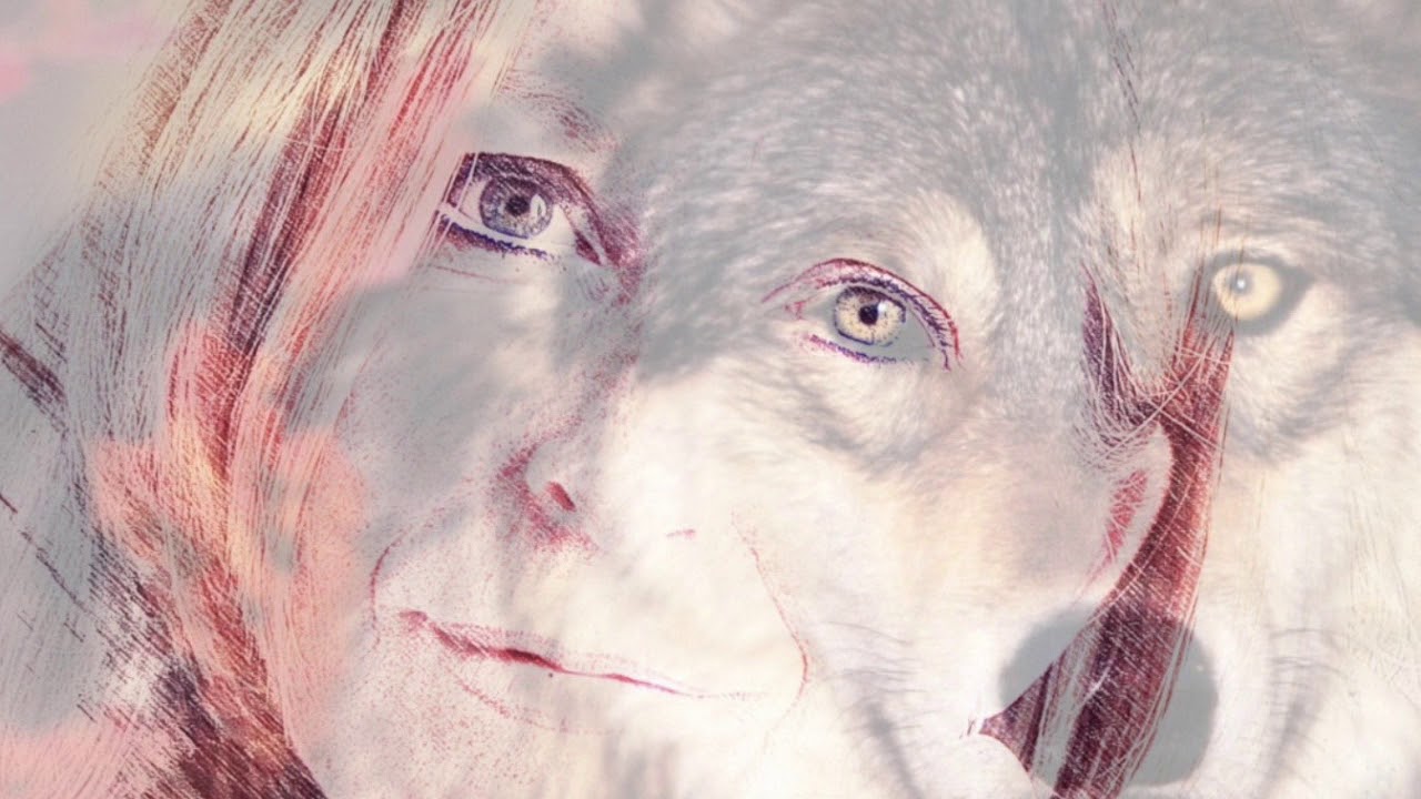 Running with Wolves - YouTube