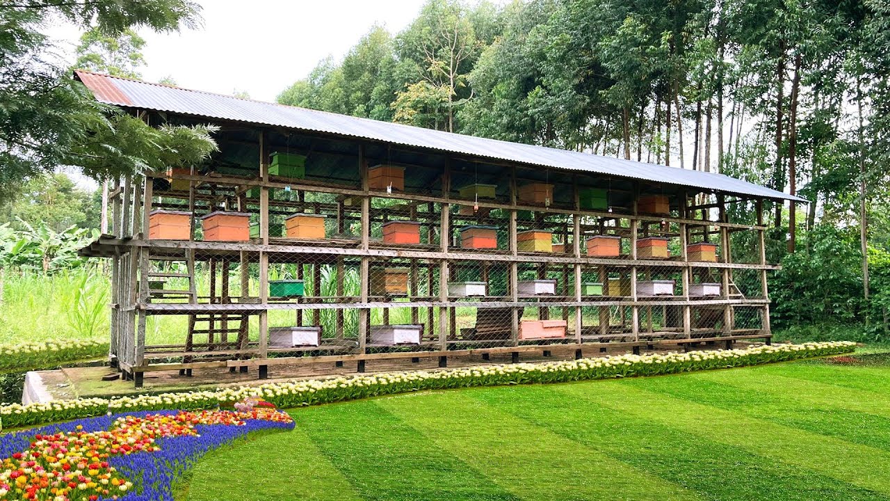 Inside a beautiful bees 🐝 home 🏡 - YouTube