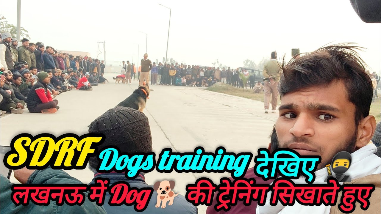 SDRF डॉग ट्रेनिंग सिखाते हुए। 🥰। डॉग ट्रेनिंग vlog|😂 में देखिए| # ...