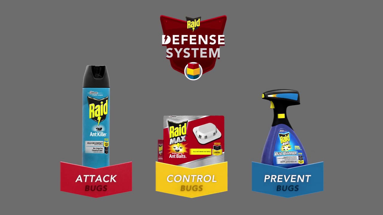 United States - Raid® How To Beat Ants - YouTube