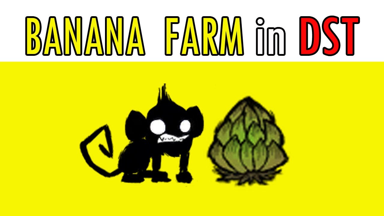 Banana Farm in DST (+nightmare fuel,morsel,beard farm) - YouTube