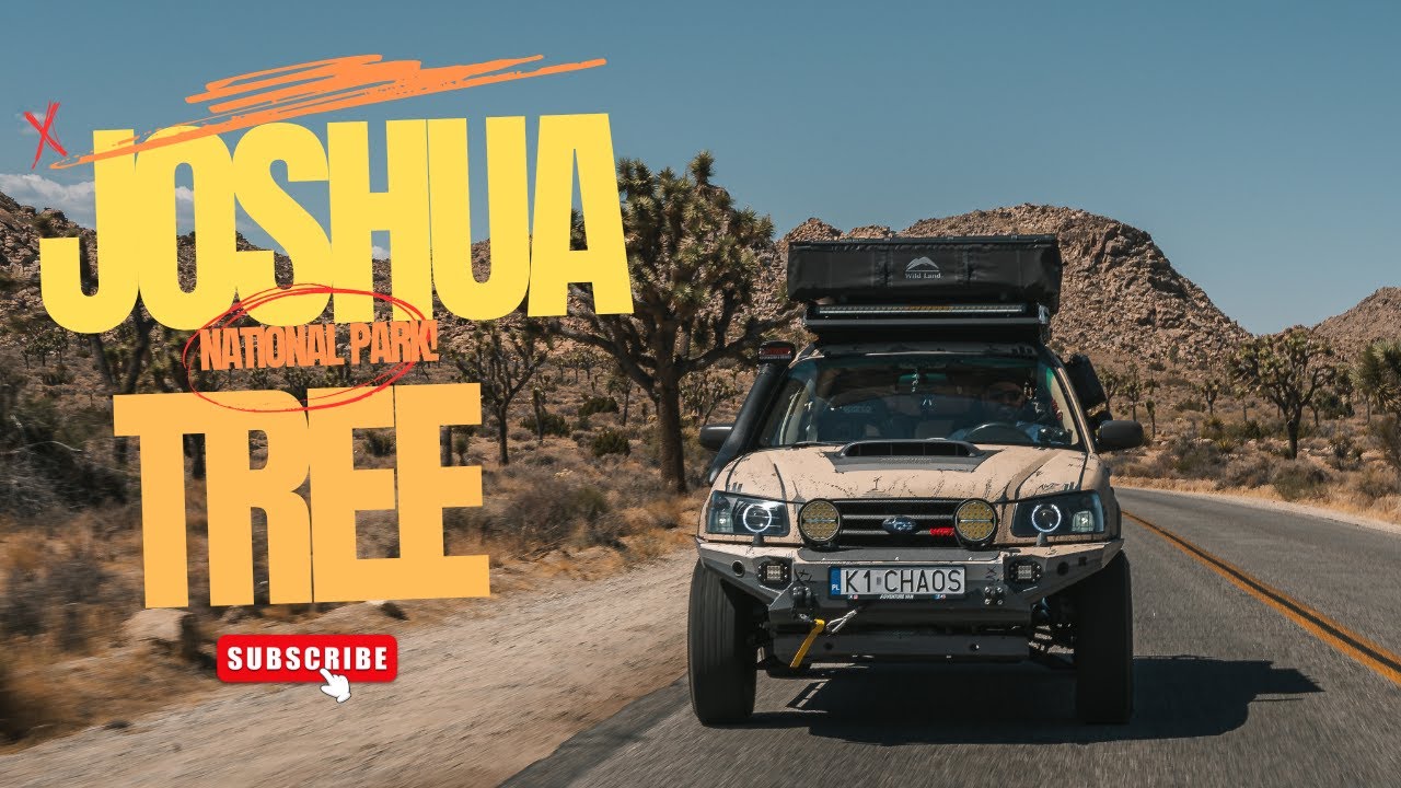 JOSHUA TREE NATIONAL PARK | Overlanding in Subaru Forester Chaos Off ...