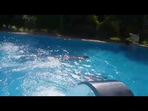 Yüzme yarışında 1.oldum