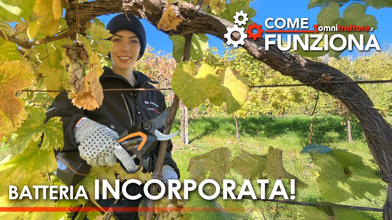 Forbice PELLENC C3X (batteria INTEGRATA): COME FUNZIONA (by GIULIA ...
