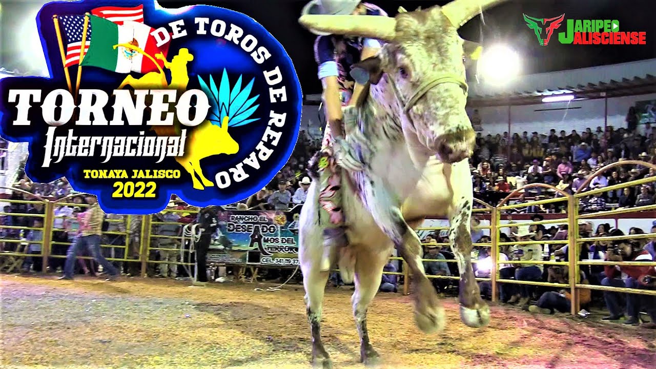 ¡TORNEO INTERNACIONAL DE TOROS DE REPARO! 33 GANADERIAS DE MEXICO Y EUA ...