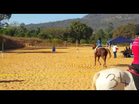 2016/06/18 - western mounted games - YouTube