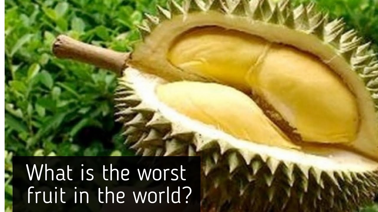 What is the worst fruit in the world? - YouTube