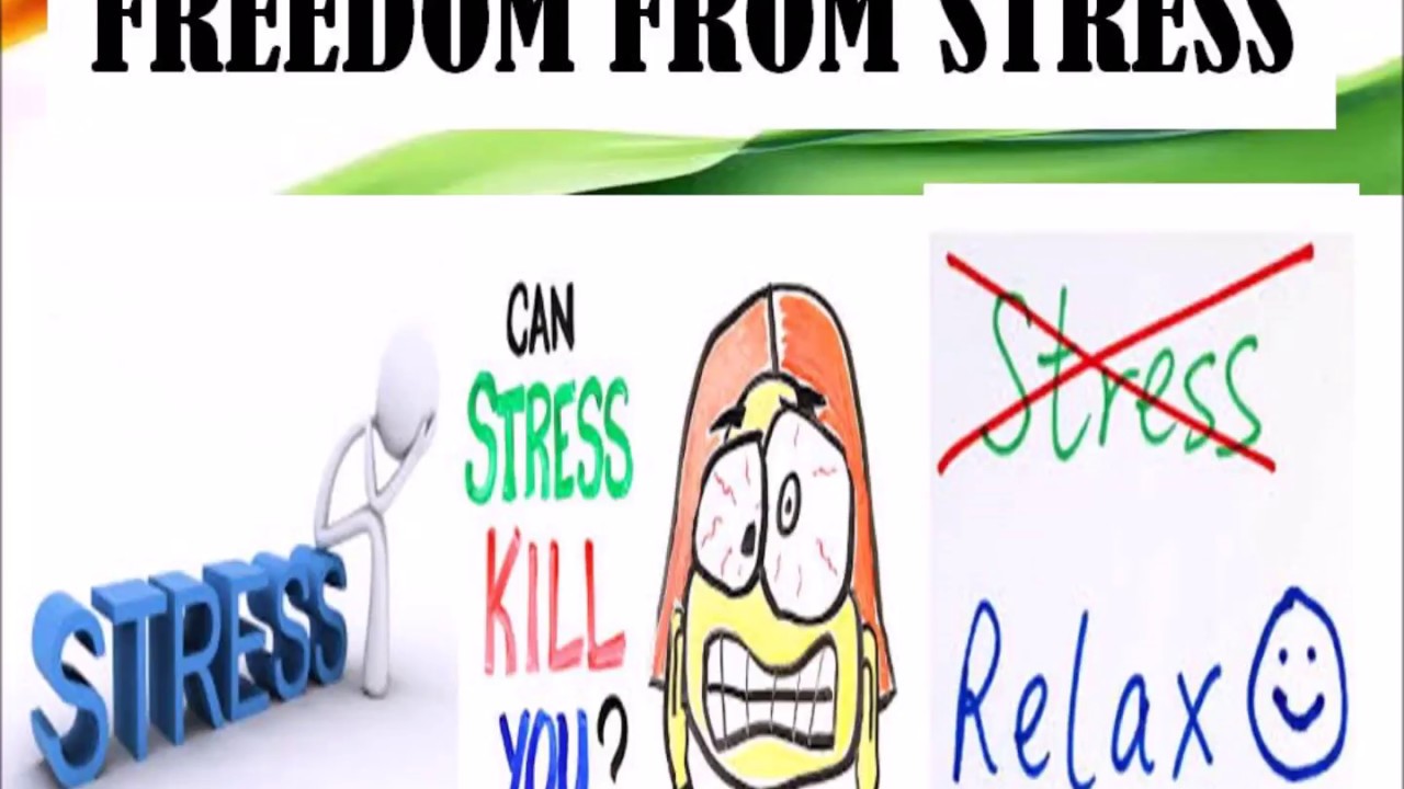 FREEDOM FROM STRESS - YouTube