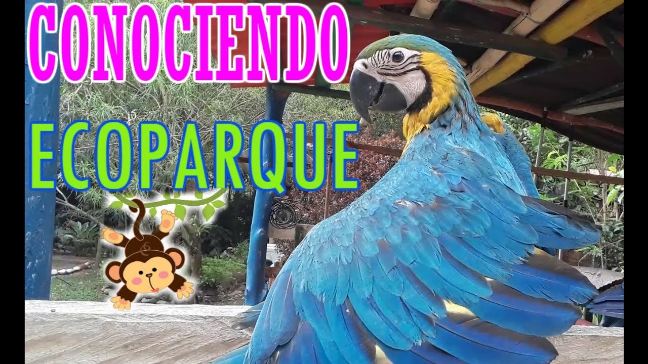 Conociendo Eco parque El Espino // Turismo Santander - YouTube