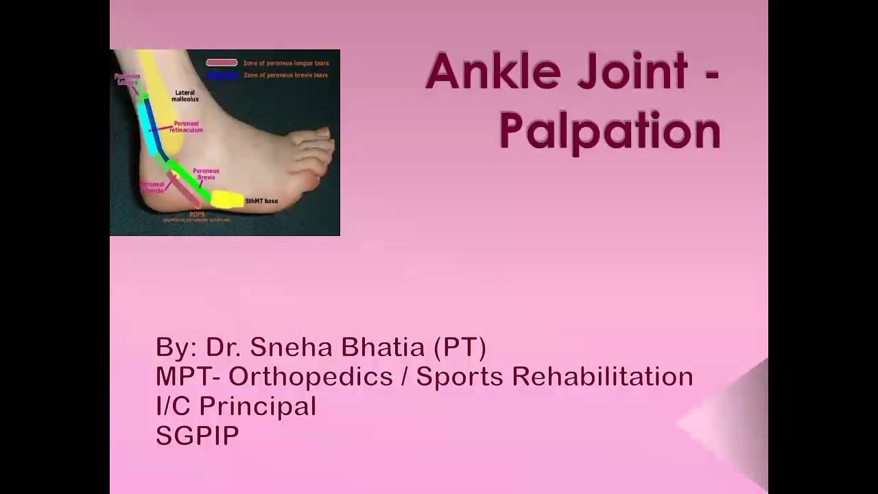 Ankle Joint - Palpation! #StayHome and study #WithMe - YouTube