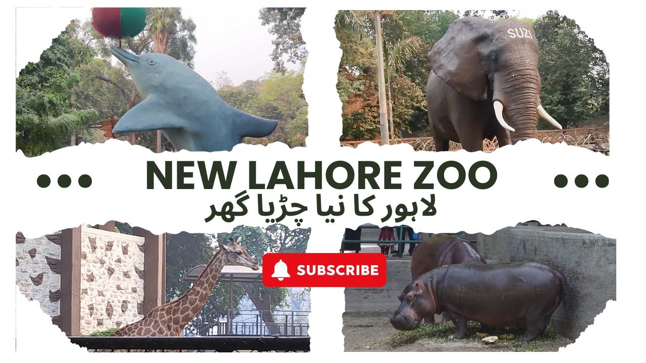 A Day at Lahore Zoo: Perfect Spot for Family Fun! - YouTube