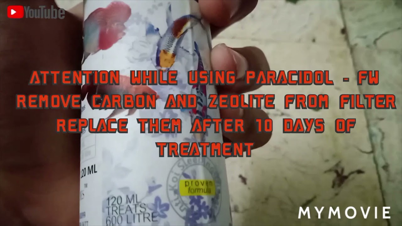 HOW TO USE PARACIDOL -FW MEDICINE || AQUARIUM KNOWLEDGE - YouTube