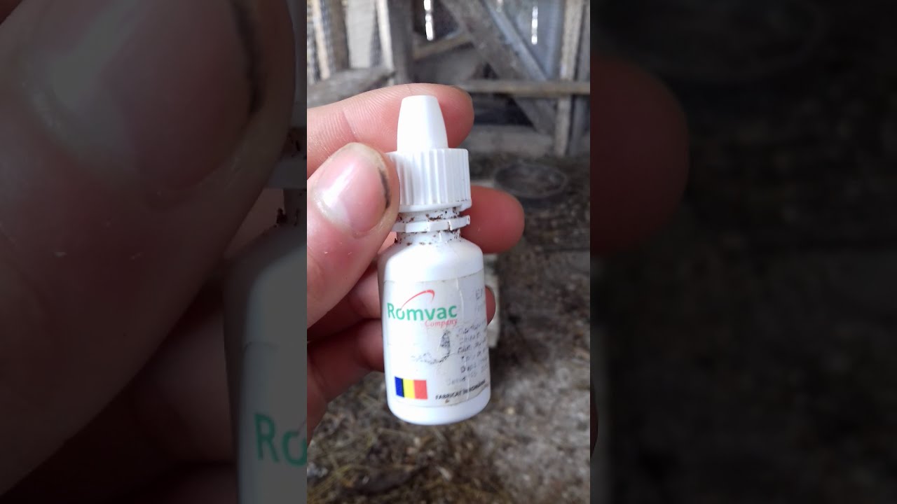 ENDECTOCID tratament Exceptional - YouTube