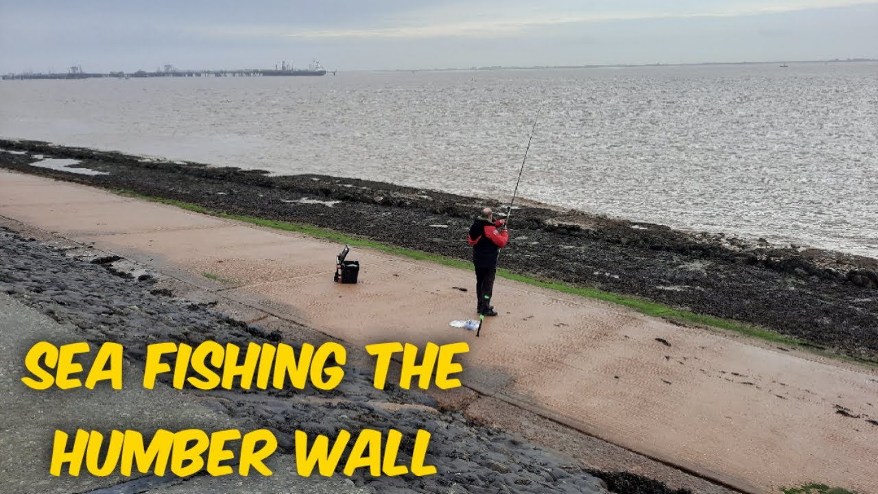 Sea Fishing UK Humber Wall Stally Wall Immingham Wall Cod Hunting - YouTube