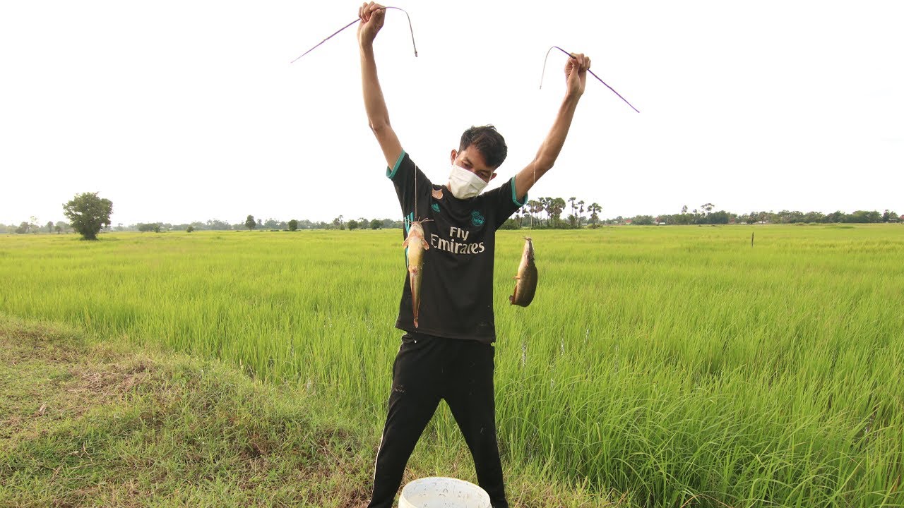 Rainy season Fishing in rural areas by fisherman - YouTube