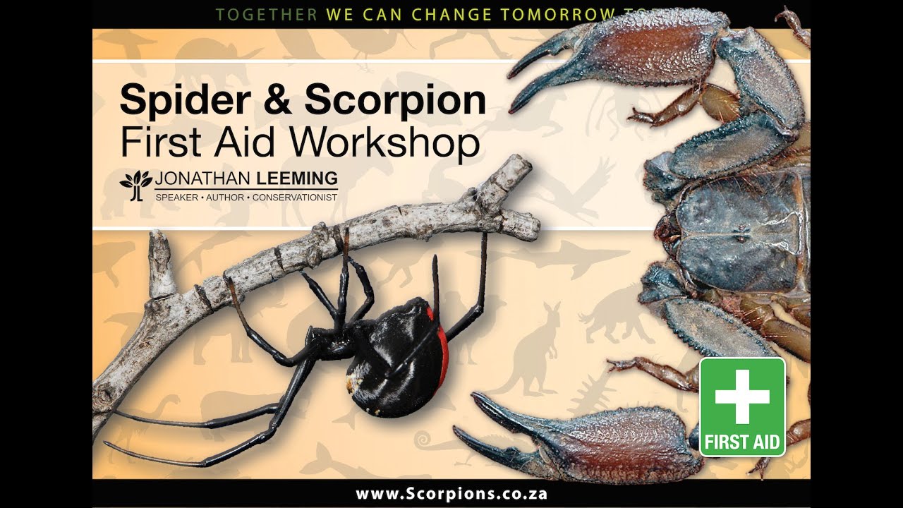 Spider & Scorpion First Aid Workshop - YouTube