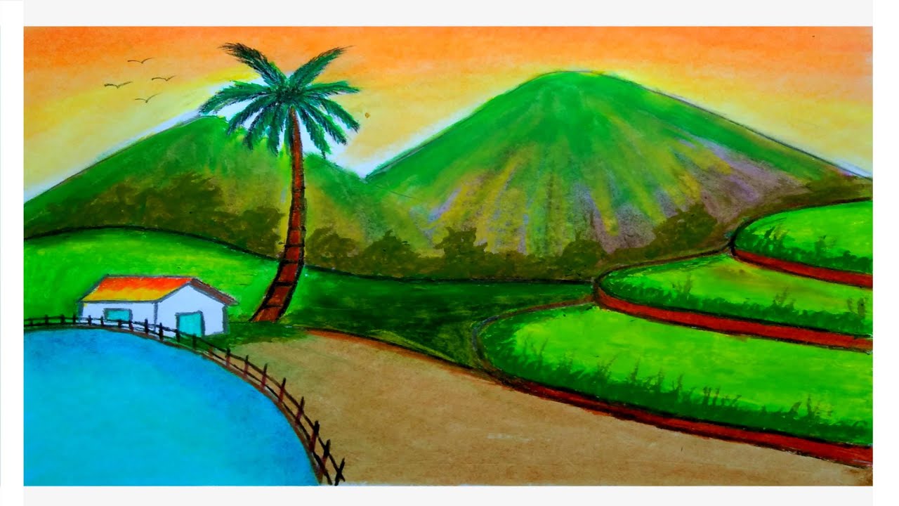 How to Draw scenery of Paddy Fields || naturel drawing of beautiful ...