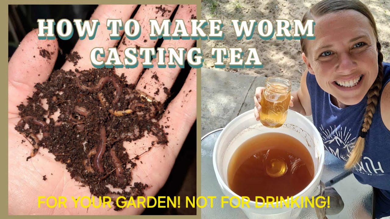 How to make WORM TEA from WORM CASTINGS - YouTube