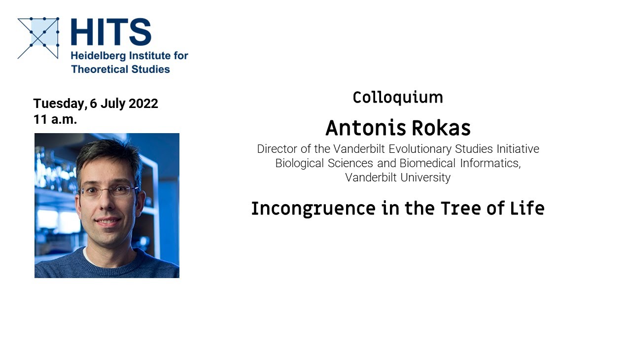 HITS colloquium: Antonis Rokas on incongruence in the Tree of Life ...