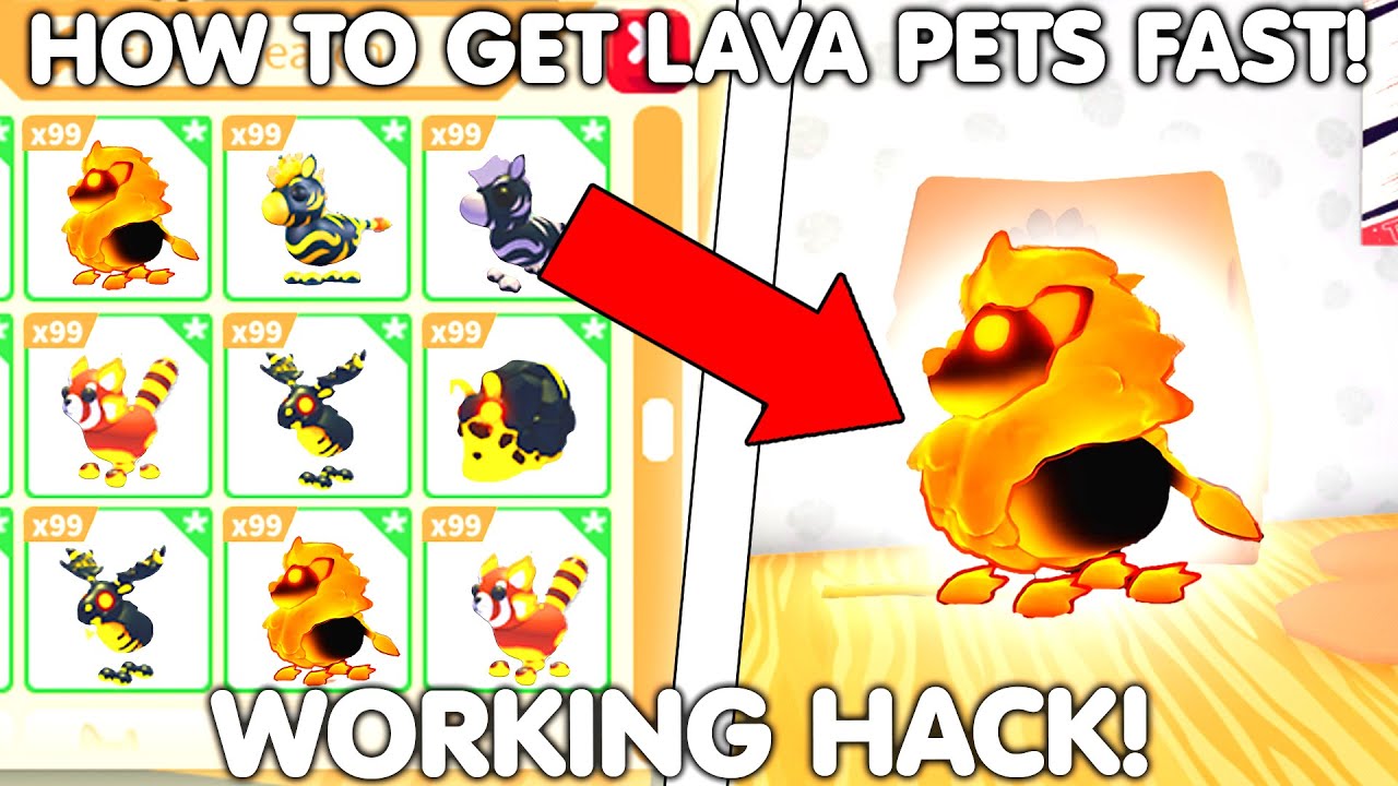 🔥HOW TO ALWAYS GET LAVA PETS FROM LURES IN ADOPT ME...👀🔥(GET LAVA PETS 10X FAST!) ROBLOX - YouTube