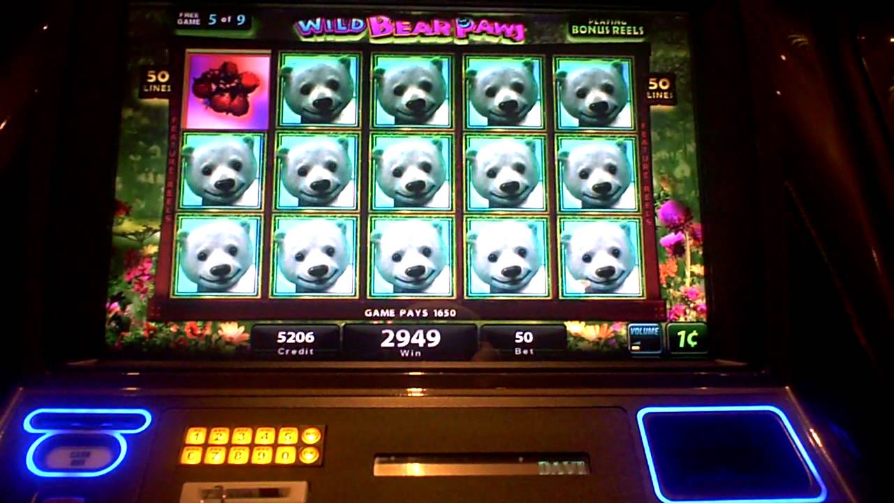 Wild Bear Paws Slot Machine Bonus - YouTube