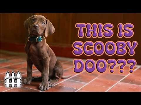 The New Live Action Scooby Doo Has Fans Divided…