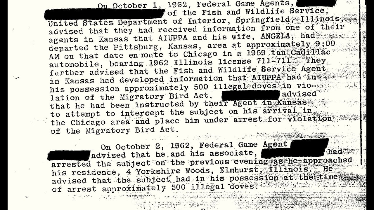 How Joey Doves Aiuppa got his nickname - YouTube