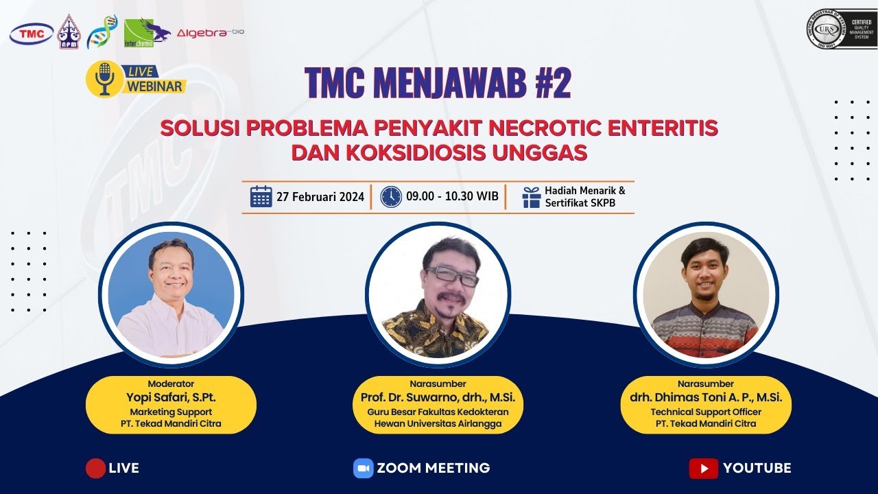 TMC Menjawab#2 SOLUSI PROBLEMA PENYAKIT NECROTIC ENTERITIS DAN ...