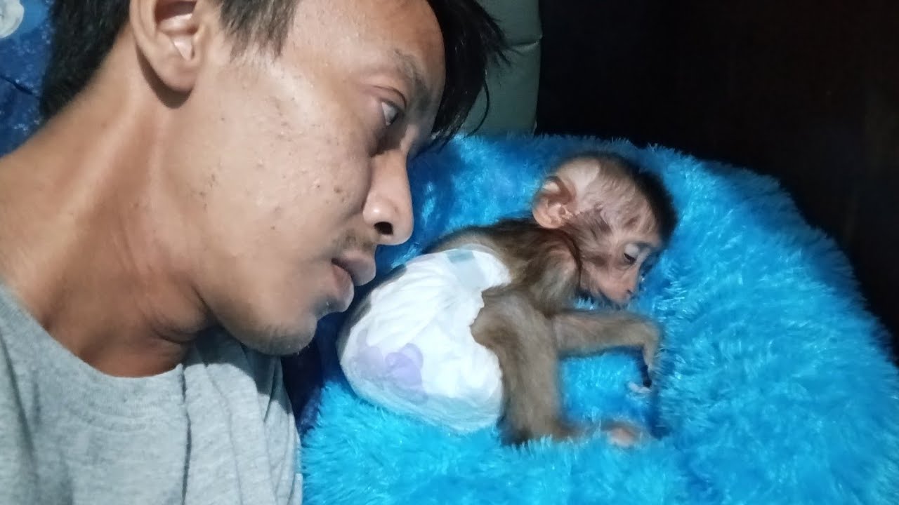 Dad was pulled by baby Niko even though he was sleepy. He wanted to ...