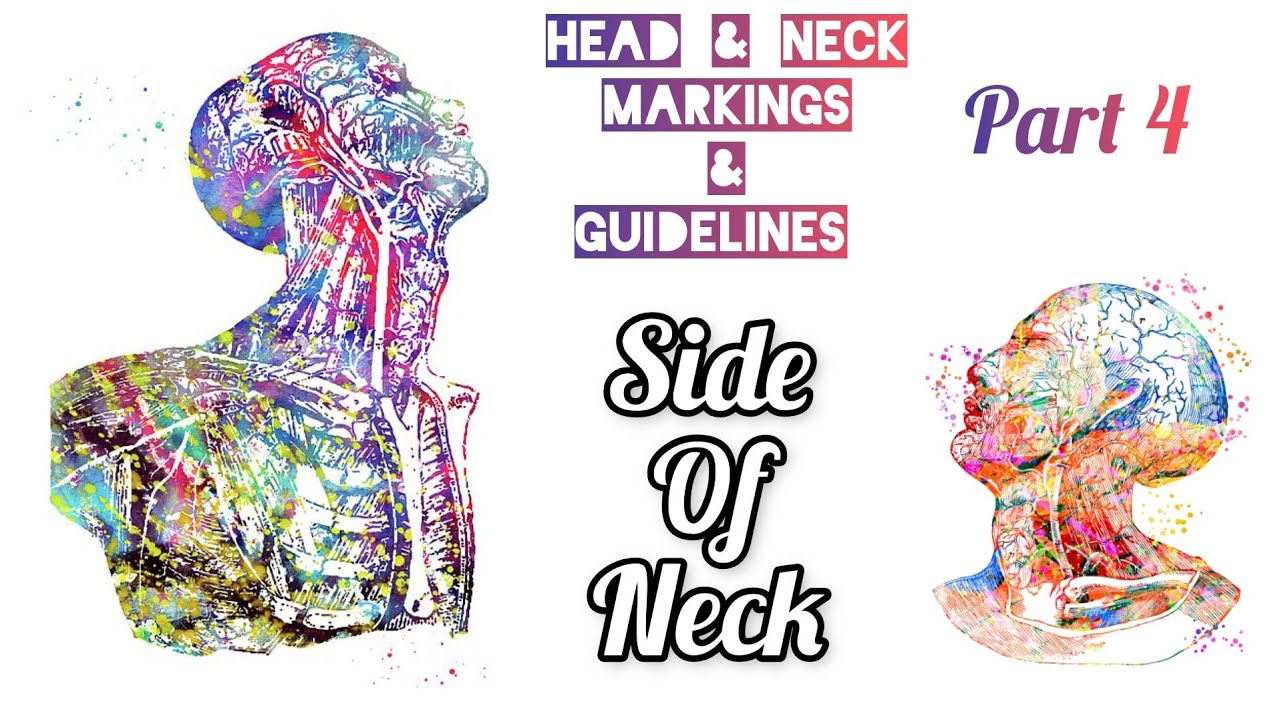 SIDE OF NECK| H&N MARKINGS AND GUIDELINES - YouTube