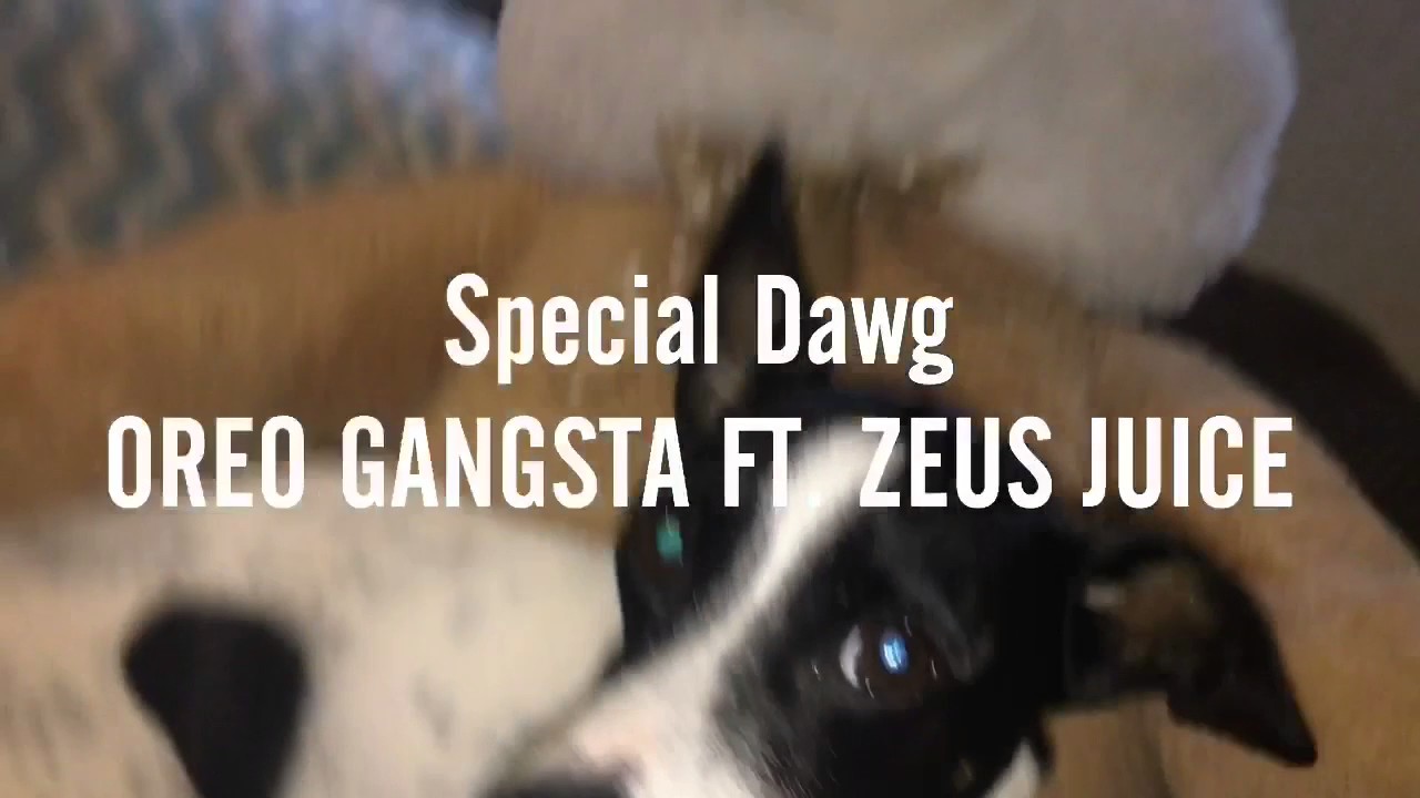 Special Dawg (Ft. ZEUS JUICE)||Oreo Gangsta - YouTube