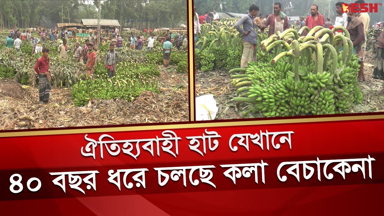 যেখানে ৪০ বছর ধরে চলছে কলা বেচাকেনা | Kushtia Banana | Desh TV - YouTube