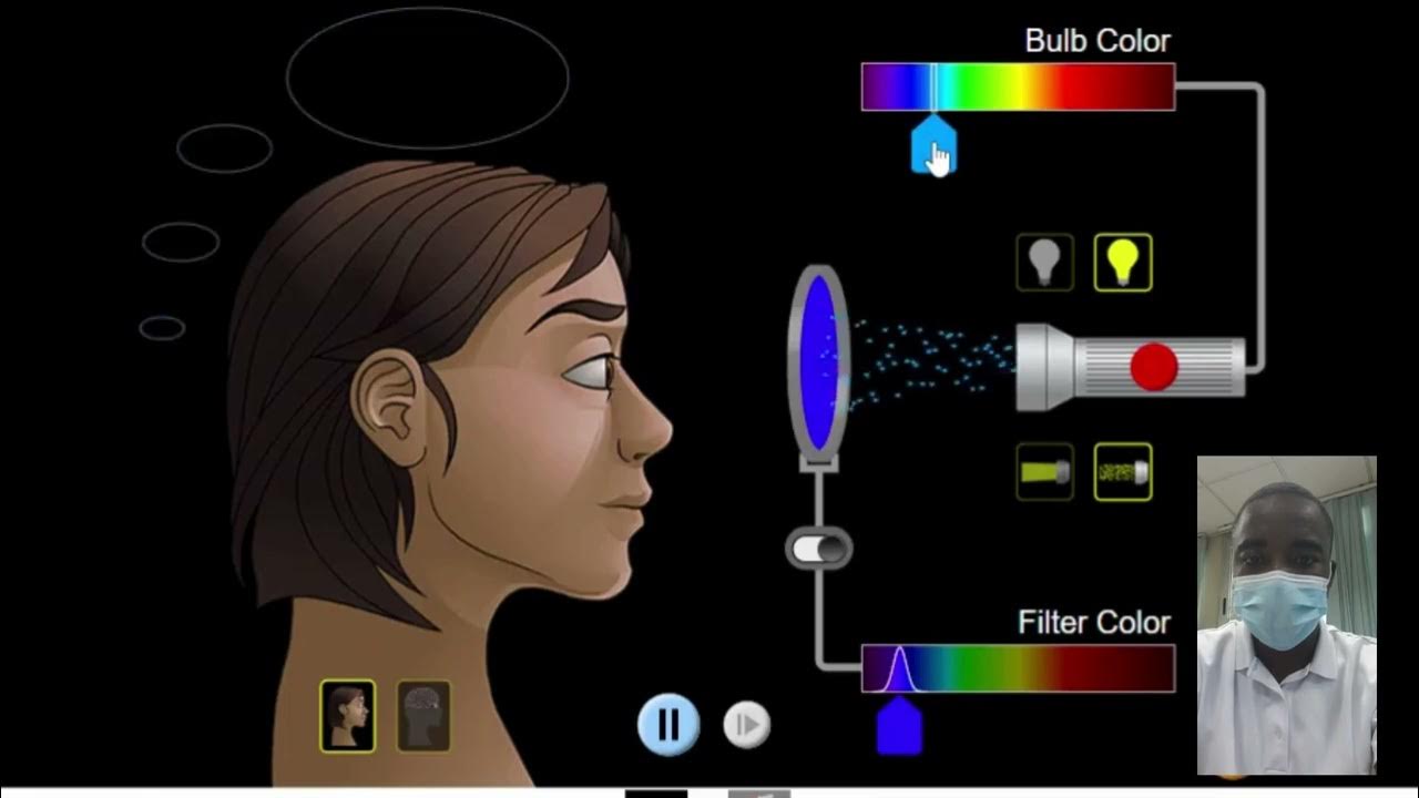 Color Vision Simulation | Science Experiment | Virtual Lab Simulation - YouTube