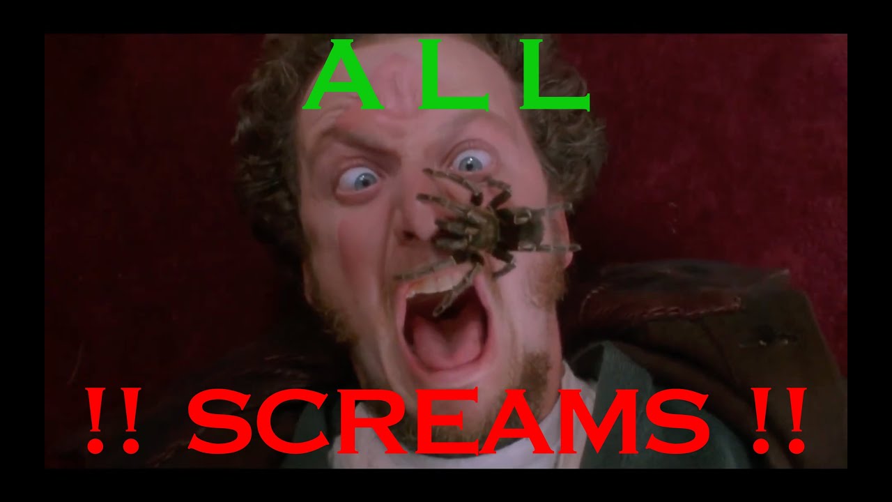 Home Alone all screams - YouTube