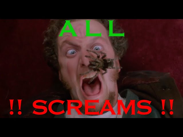 Home Alone 2 Kevin Scream