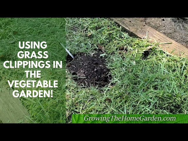 Grass Clippings In Garden Compost | Fasci Garden