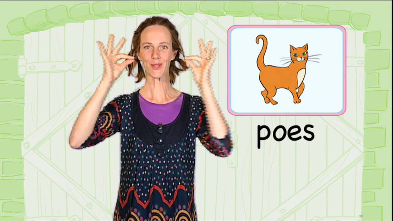 Leer het gebaar voor Poes (Kindergebaren met Lotte&Max) - YouTube