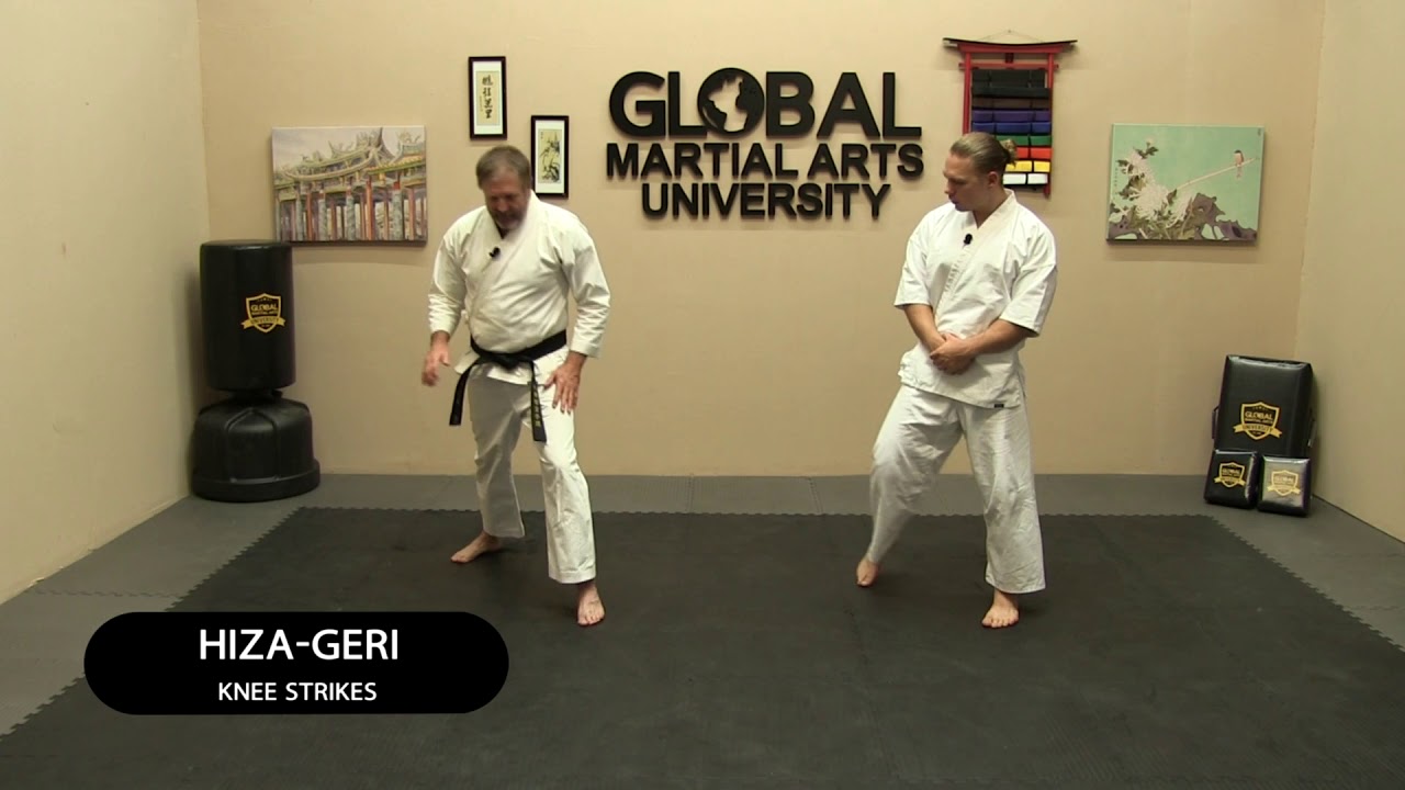 Shotokan Journey to Black Belt with Charles - 9th Kyu White - Class 2 ...