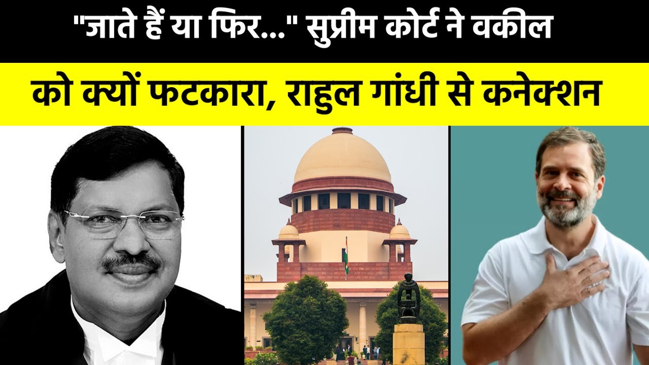 Supreme Court के Judge ने Lawyer Ashok Pandey को क्यों डांटा | CJI DY ...