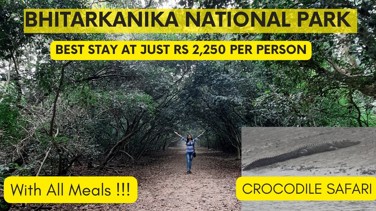 Bhitarkanika - India’s 2nd largest mangrove wetland || Best Crocodile ...