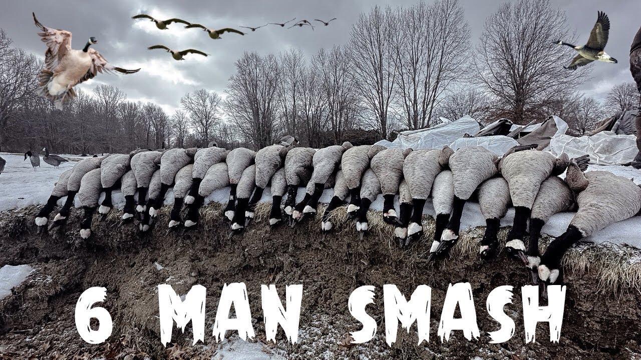 Pennsylvania Late Season Goose Hunt! 6 Man Limit - YouTube
