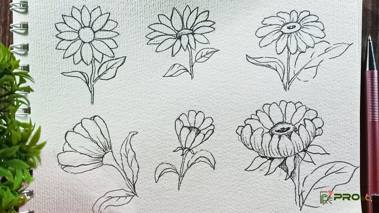 How to draw flowers || Six Easy ways to draw a flower || Step-by-step ...