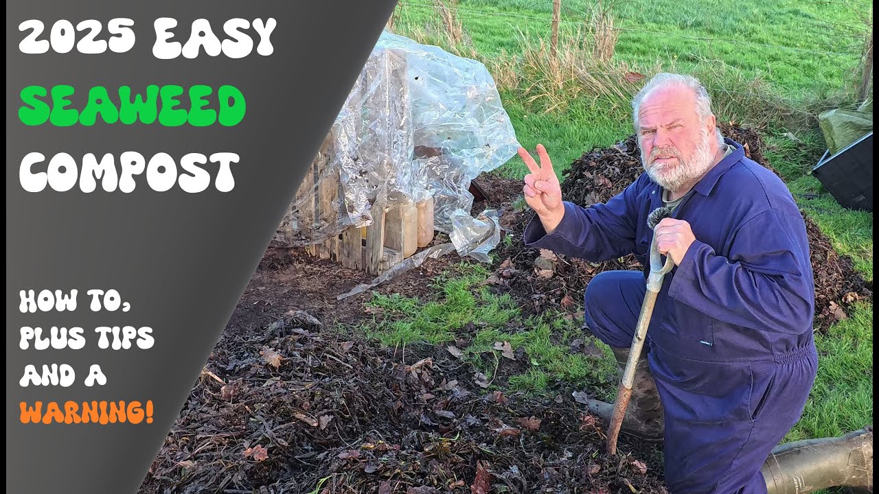 Easy Seaweed Compost 2025 - YouTube