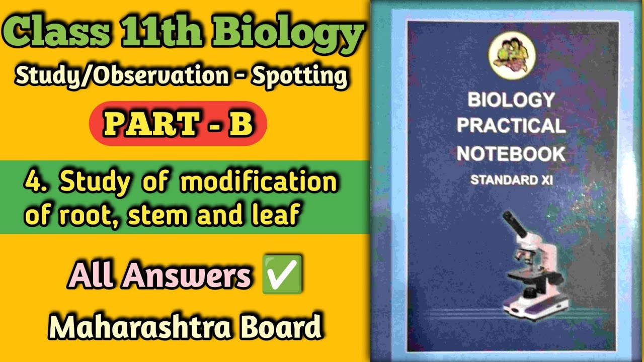 4: Study of modification of root, stem and leaf | PART - B | Practical ...