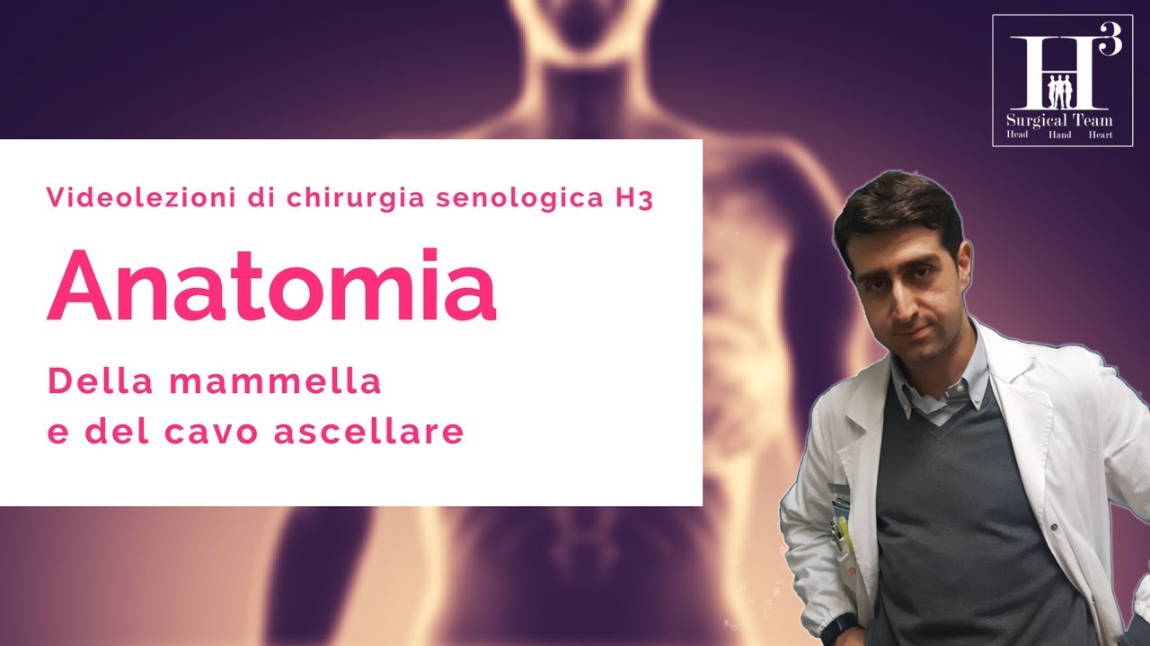 Anatomia della mammella e del cavo ascellare - YouTube