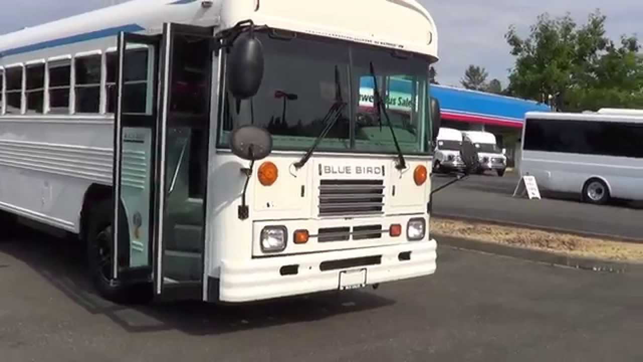 White Bluebird Bus
