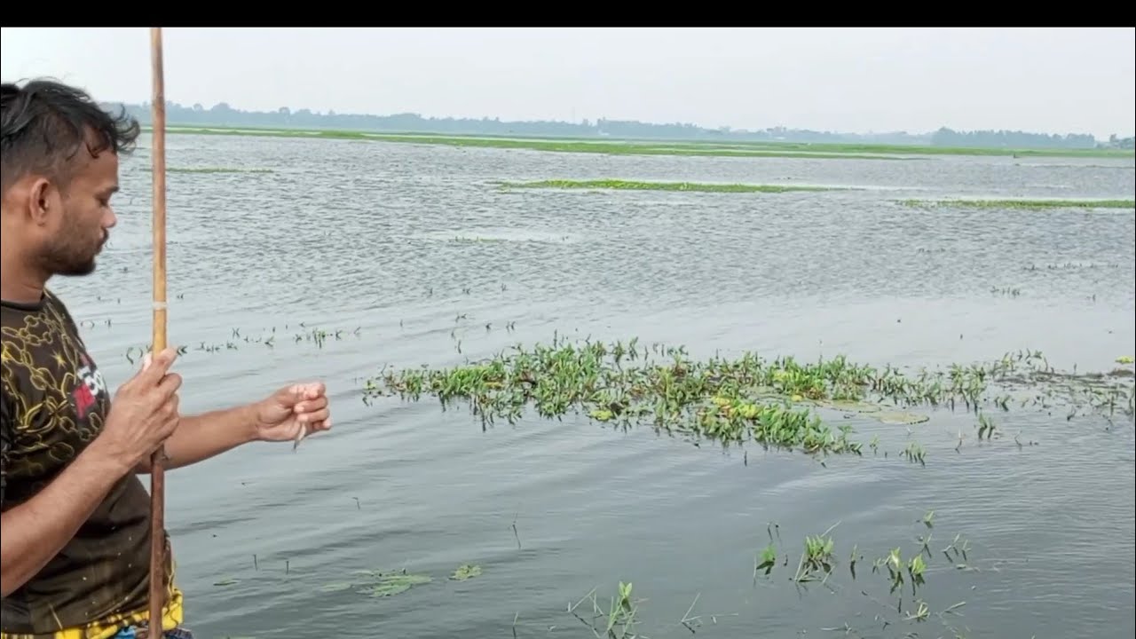 hook fishing videos || বিল থেকে বড়শী দিয়ে পুটি মাছ ধরা। Abdullah Fishing bd - YouTube