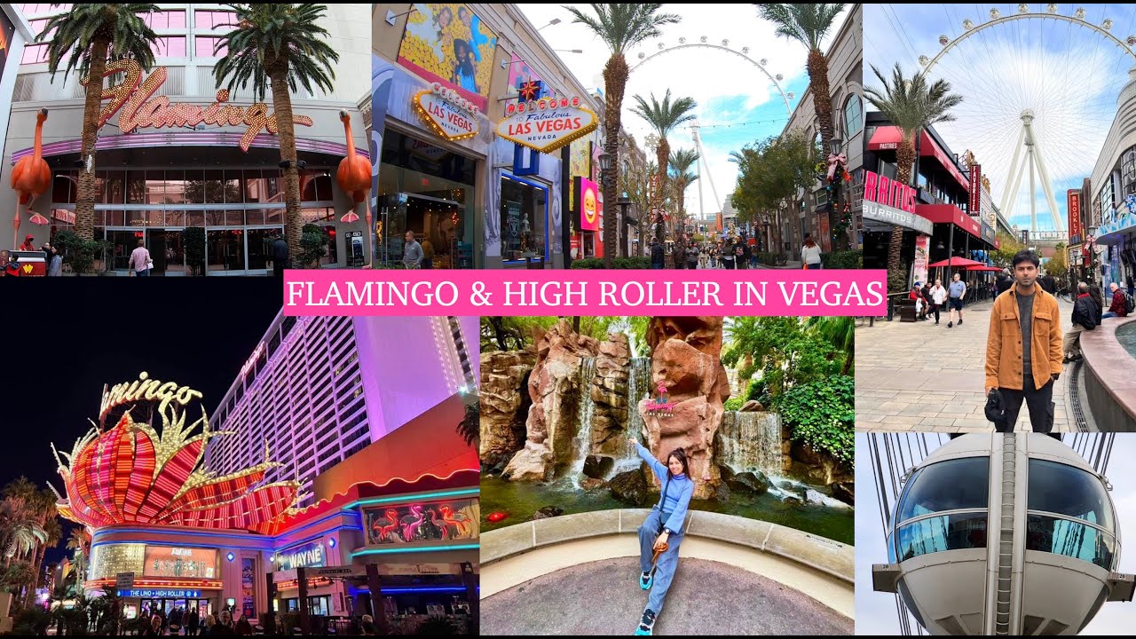 EP-04 Flamingo Hotel & Linq High Roller In Vegas | Largest Observation ...