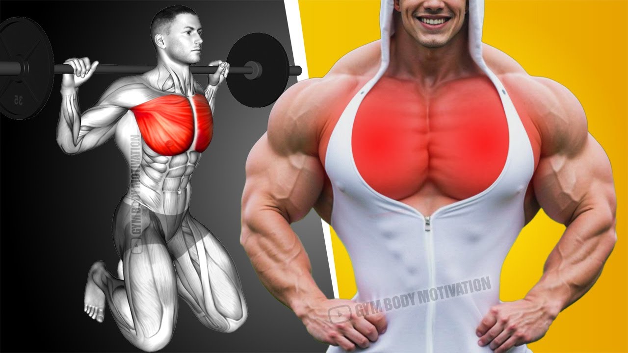 5 Best Effective Exercises To Build A Perfect Chest - YouTube